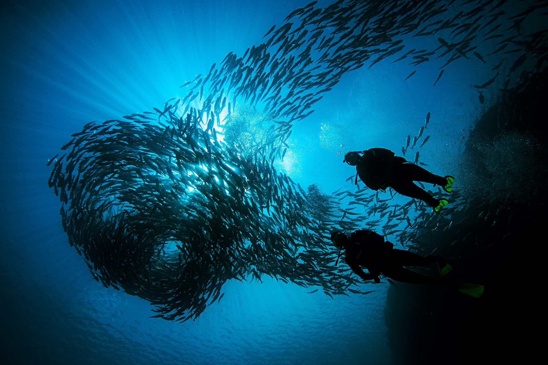 Adaptive Scuba Diving Experiences on Catalina Island